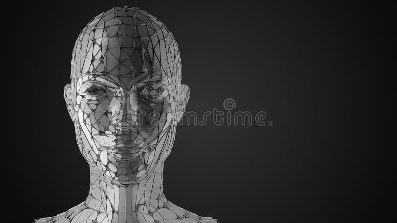 Stylized Female Wireframe Stock Illustrations – 12 Stylized Female ...