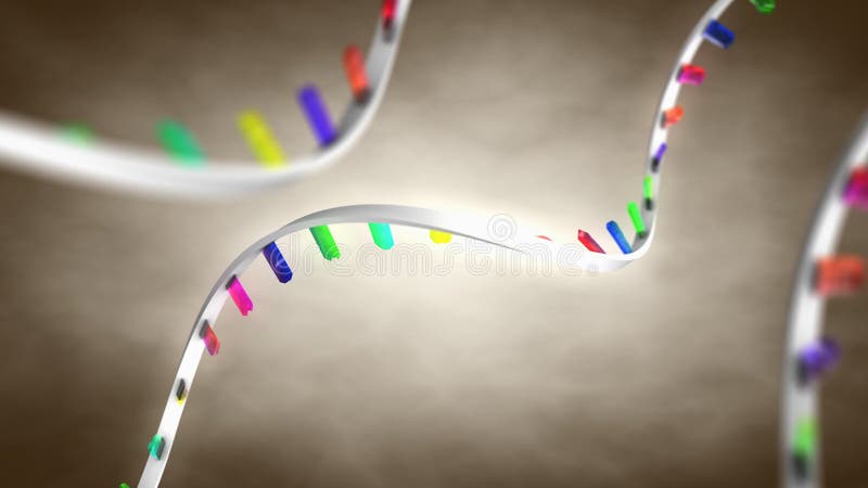 3d Rendering Messenger RNA Model. Stock Footage - Video of computer ...