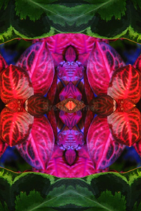 Computer-generated Designs (10) Stock Image - Image of plant, pattern ...