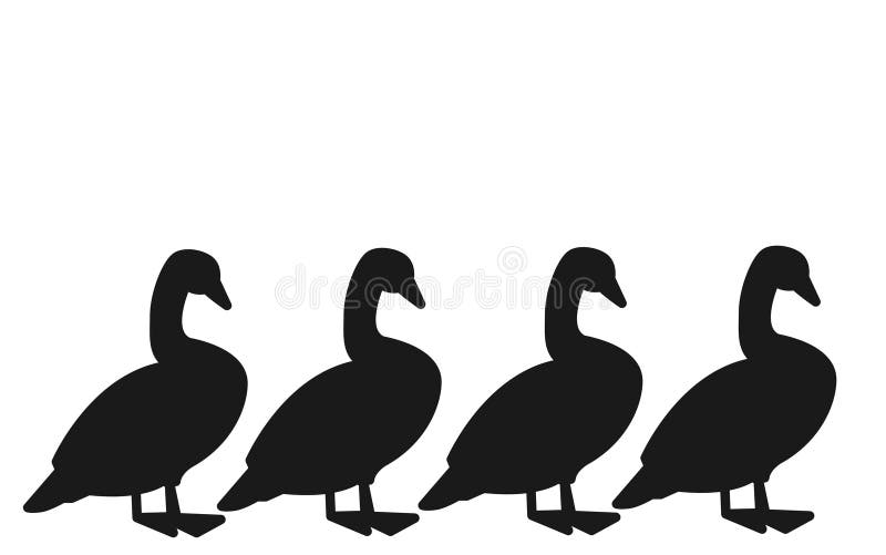 Four Walking Ducks in a Row Silhouette Set Against a White Backdrop ...