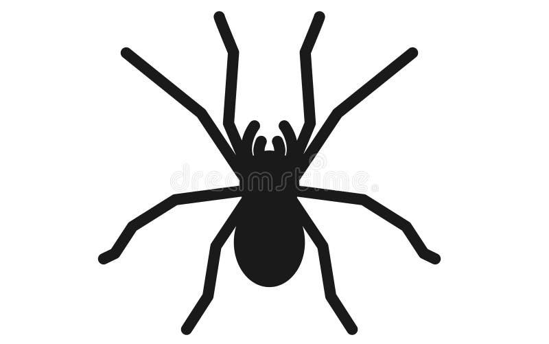 One Single Bold All Black Spider Outline Shape Silhouette Set Against a ...