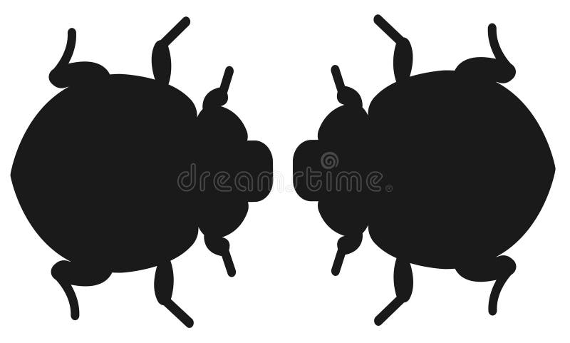 A Pair of Insects Bugs Outlines Shapes Silhouette Against a White ...