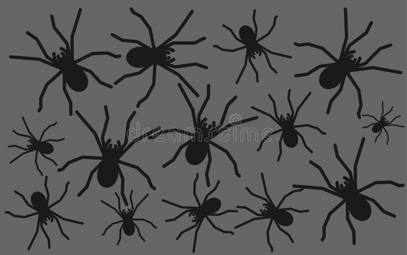 Several Many Bold All Black Spider Outline Shape Silhouette Set Against ...
