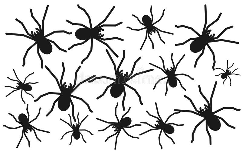 Several Many Bold All Black Spider Outline Shape Silhouette Set Against ...