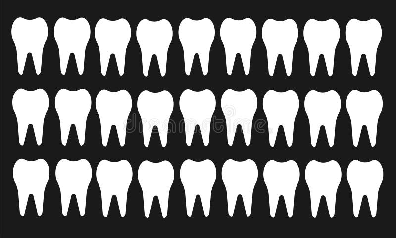 Several Many Numerous Molar Back Tooth Set Against an All Black ...