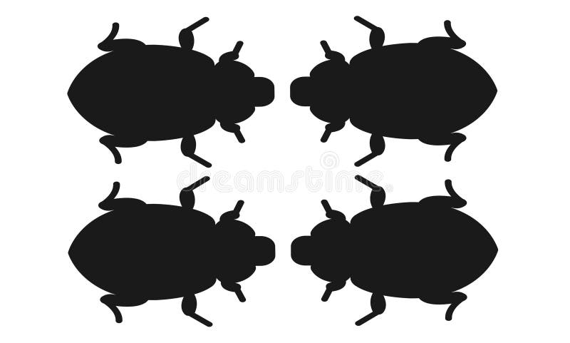 Two Pairs of Insects Bugs Outlines Shapes Silhouette Against a White ...