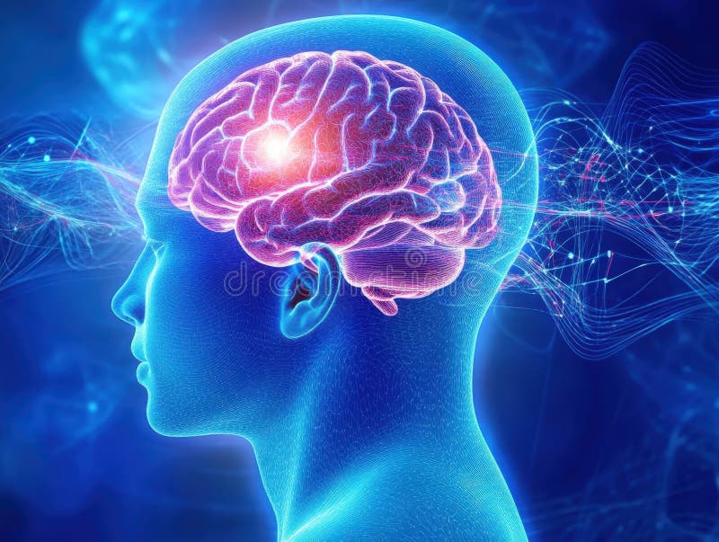 A Computer Generated Image of a Human Head with a Red Brain Stock Image ...