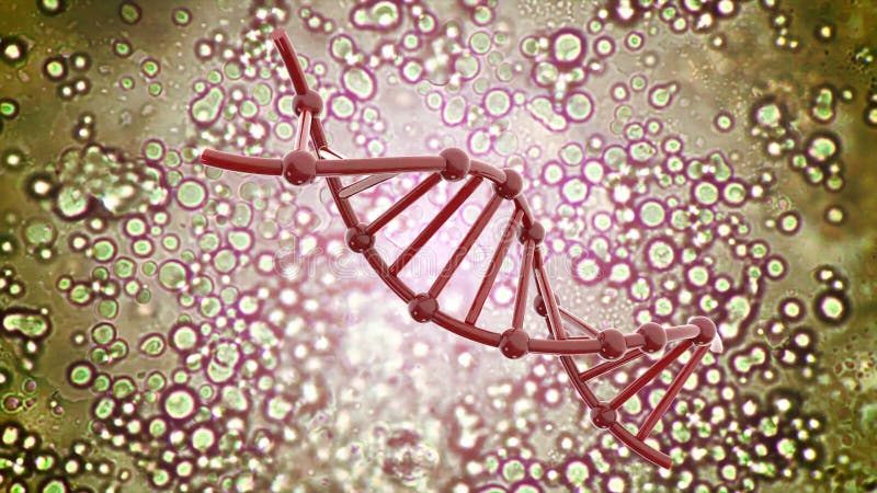 Computer Generated Microscopic View of Bacteria with DNA Stock ...