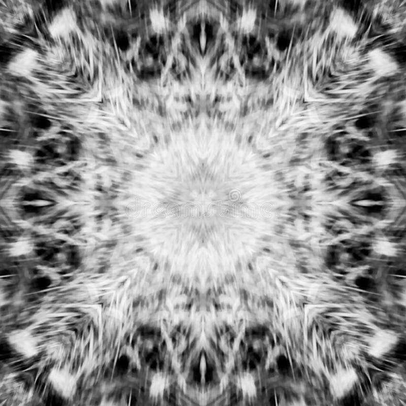 Computer Graphics, Pattern - Kaleidoscope, Seamless Surreal Magic ...