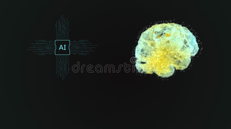 Computer Graphics Rotation of a Schematic Polygonal Human Brain on a ...