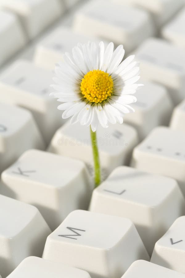 11,301 Computer Keyboard Flower Stock Photos - Free & Royalty-Free ...