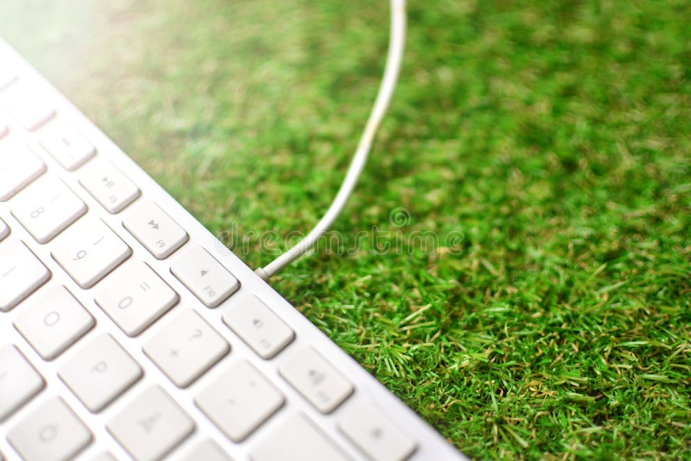 Computer Keyboard on a Green Grass. Work in Nature and in Calm Concept ...