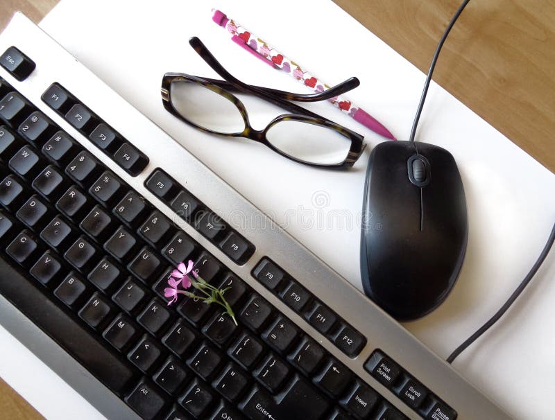 Computer Keyboard With Pink Spring Flower, Mouse Stock Image - Image of ...