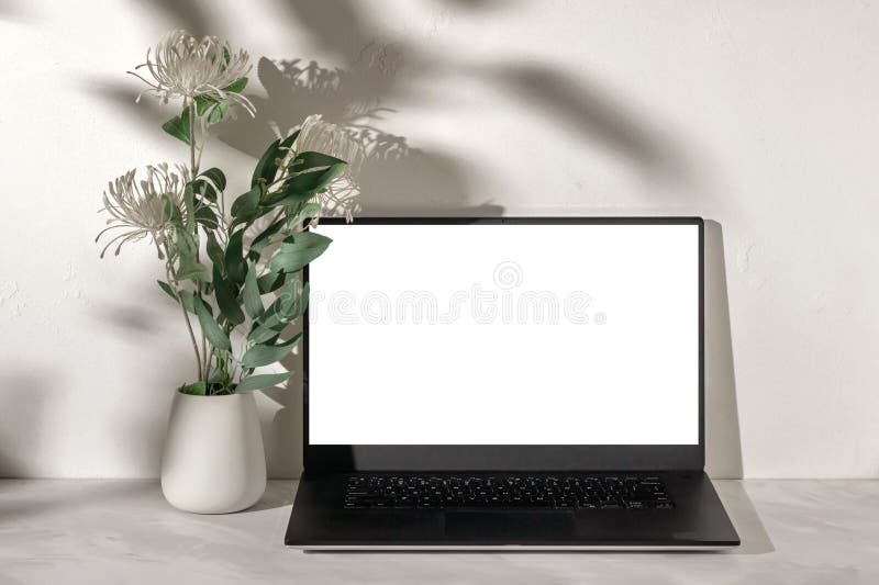 822 Laptop Screen Beige Background Stock Photos - Free & Royalty-Free ...