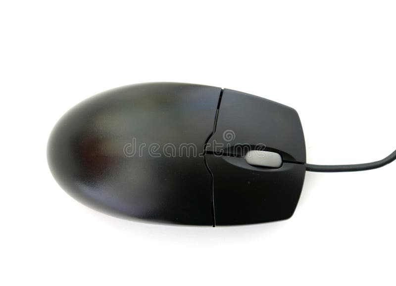 Rat on computer mouse stock photo. Image of fuzzy, funny - 8602720