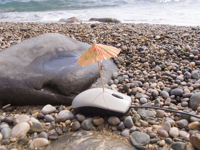 Christmas at the Beach stock photo. Image of ocean, gold - 357816