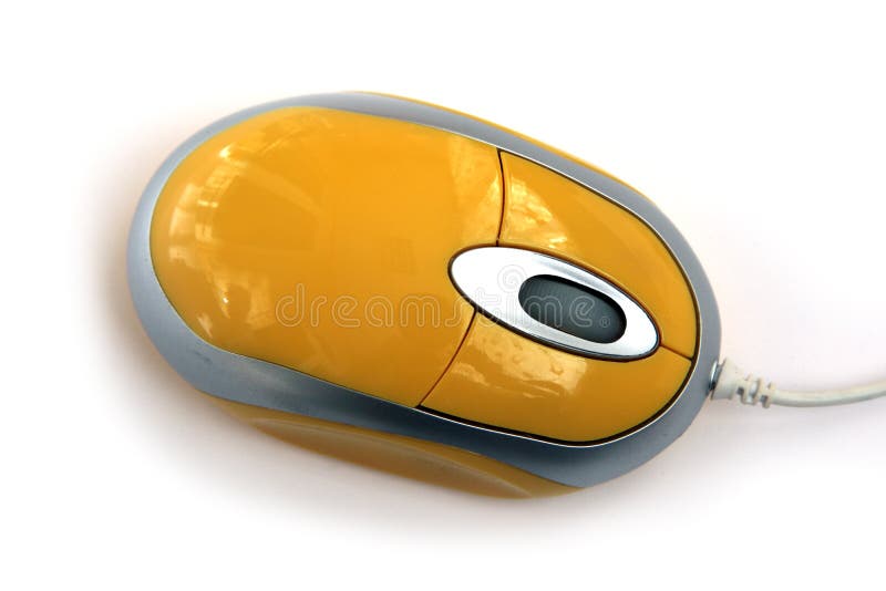 The Computer Mouse Was Damaged by Being Bitten by a Mouse Stock Photo ...