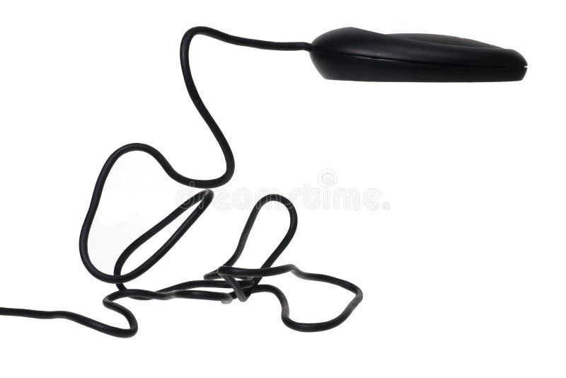 Computer Mouse stock photo. Image of peripheral, still - 24267776