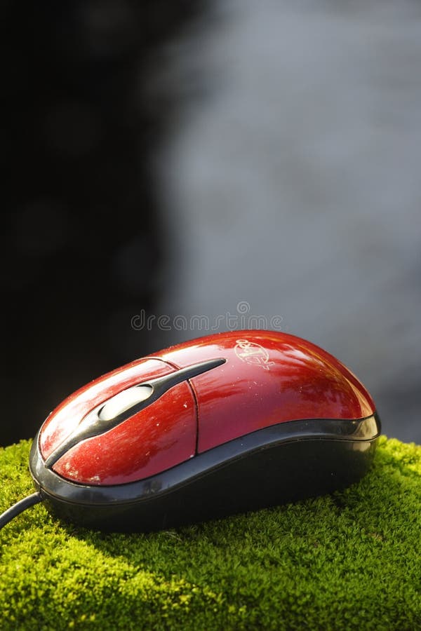 Computer mouse stock image. Image of device, computer - 6652027