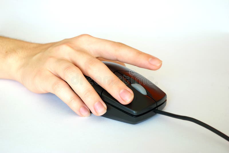 Rat on computer mouse stock photo. Image of fuzzy, funny - 8602720