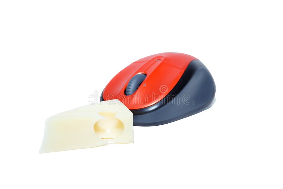 Computer Mouse with Cheese on Isolated White Stock Image - Image of ...
