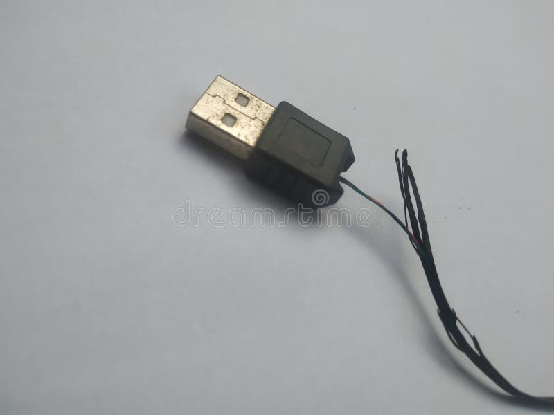 The Computer Mouse Was Damaged by Being Bitten by a Mouse Stock Photo ...