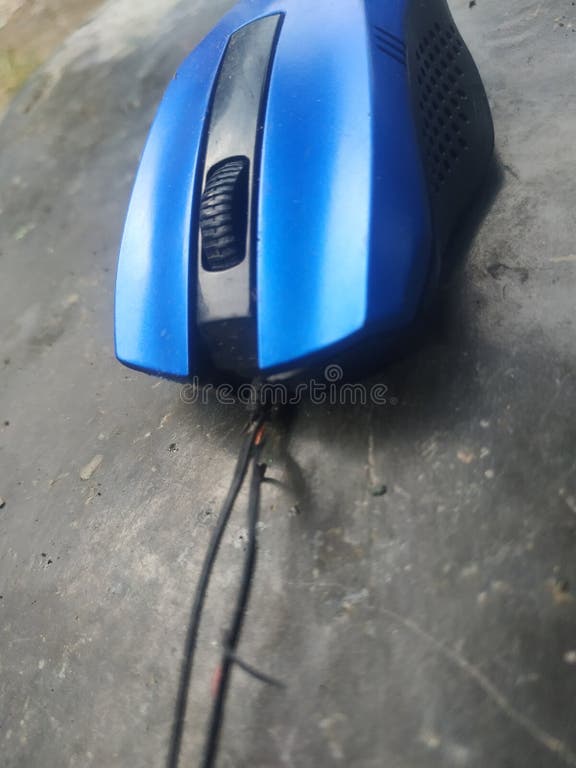 The Computer Mouse Was Damaged by Being Bitten by a Mouse Stock Photo ...