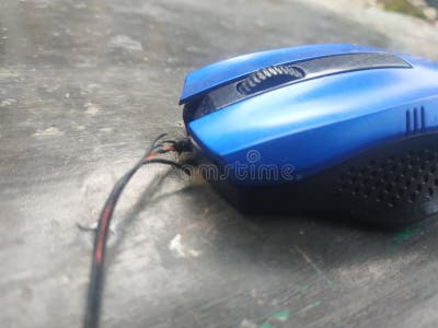 The Computer Mouse Was Damaged by Being Bitten by a Mouse Stock Photo ...