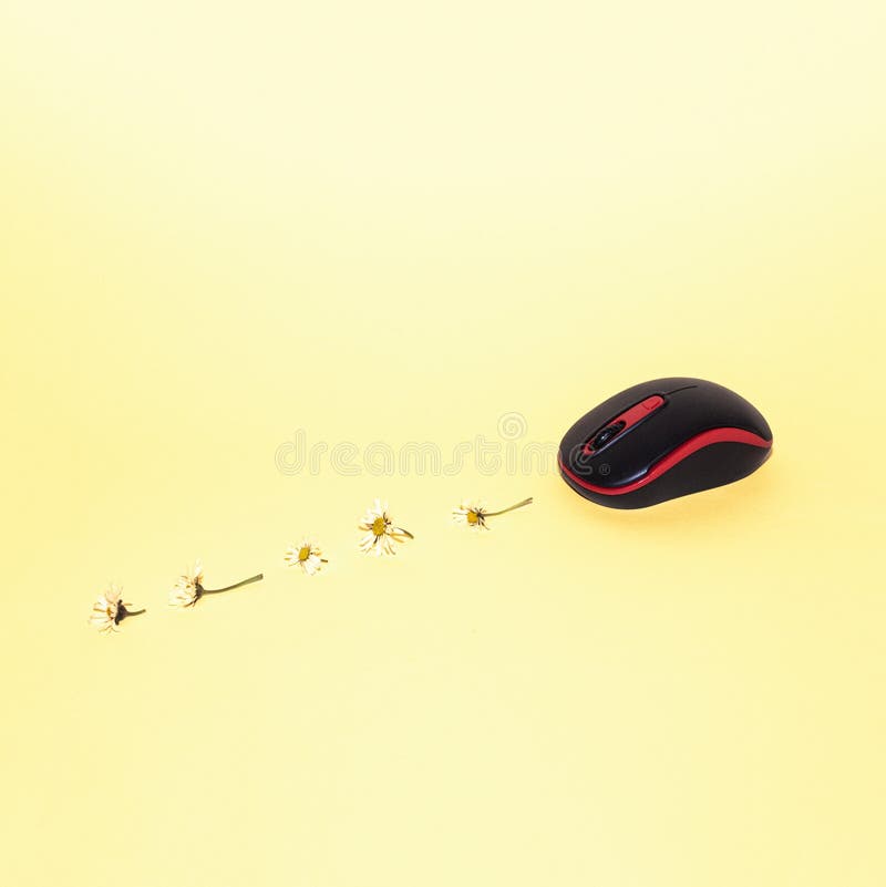Computer Mouse and Flowers Creative Layout. Concept Photo Stock Photo ...