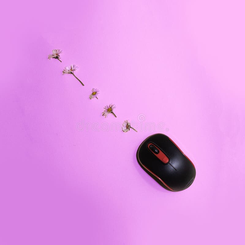 Computer Mouse and Flowers Creative Layout. Concept Photo Stock Photo ...