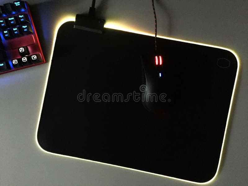 Cat and mouse games stock image. Image of skill, grass - 15745001