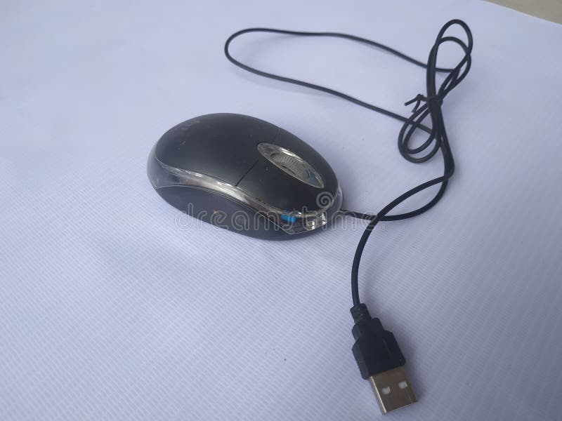 The Computer Mouse Was Damaged by Being Bitten by a Mouse Stock Photo ...