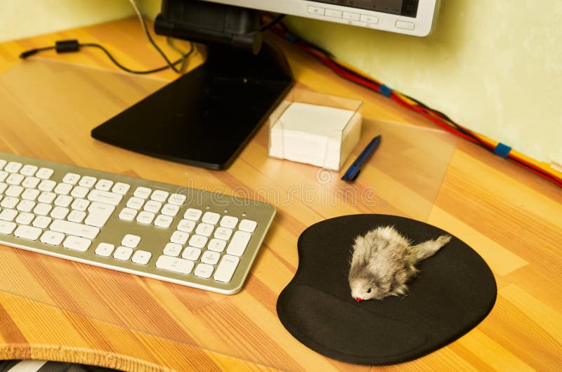The Computer Mouse Has Been Replaced with a Plush Toy Mouse. April Fool ...