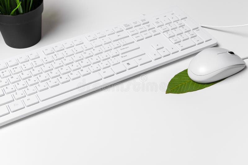 Computer Mouse and Keyboard. Macro Photo. Close Up. Stock Image - Image ...