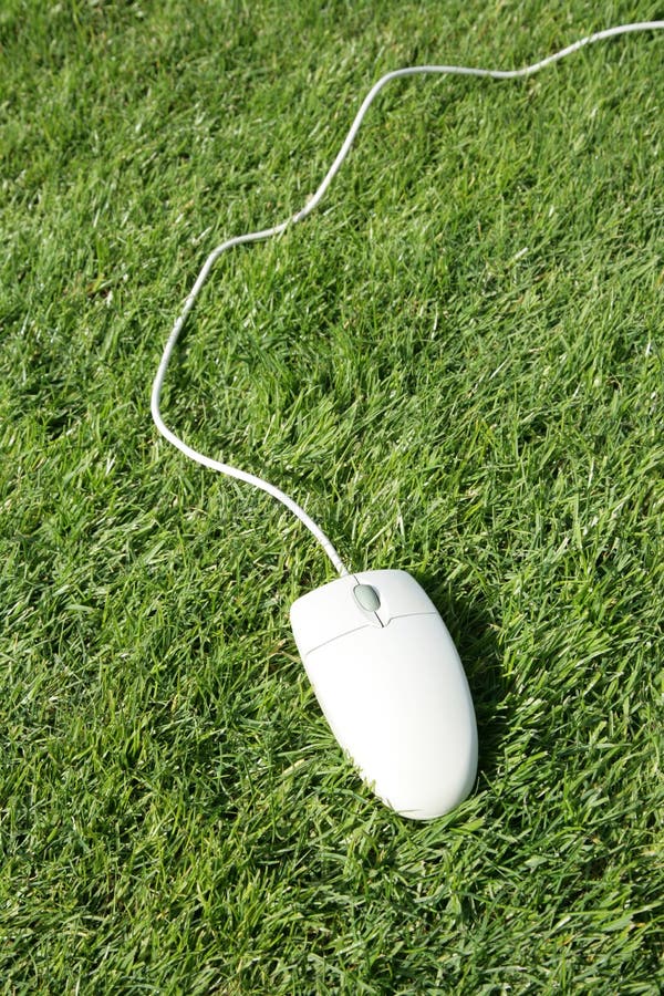 White Computer Mouse stock photo. Image of technology - 192131216