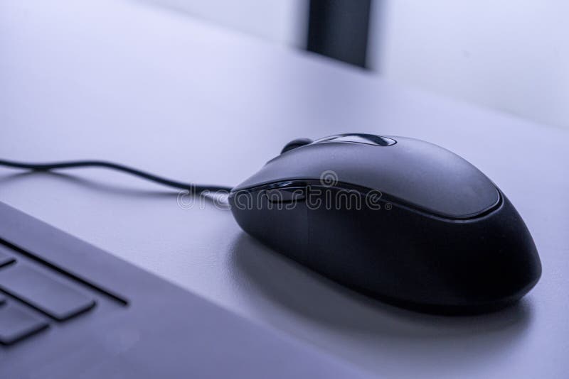 Computer Mouse Optic on Table in Work Office Stock Image - Image of ...