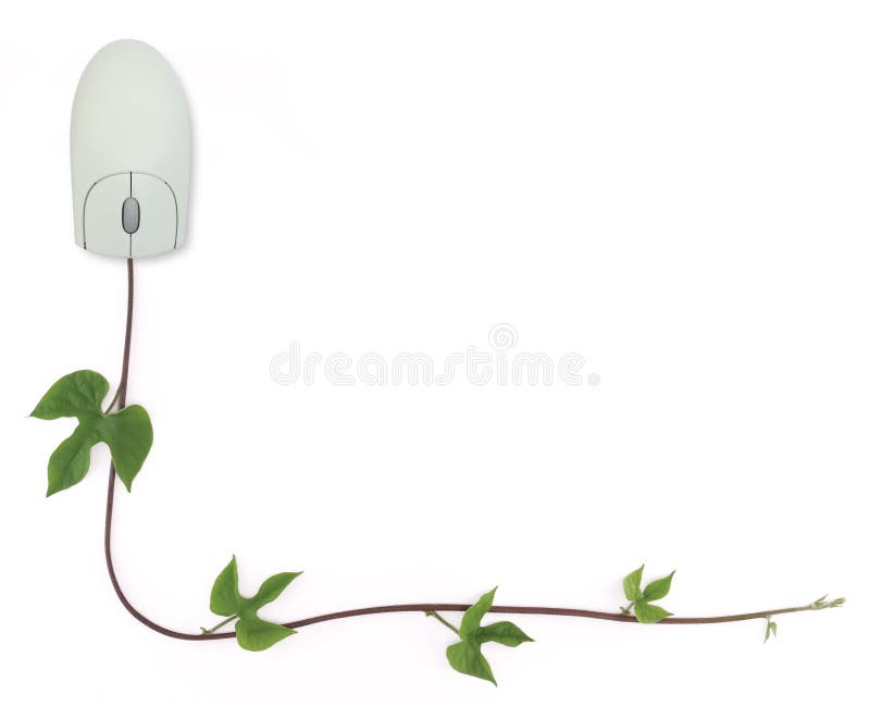 Computer Mouse and Vine Border Stock Photo - Image of botany, online ...
