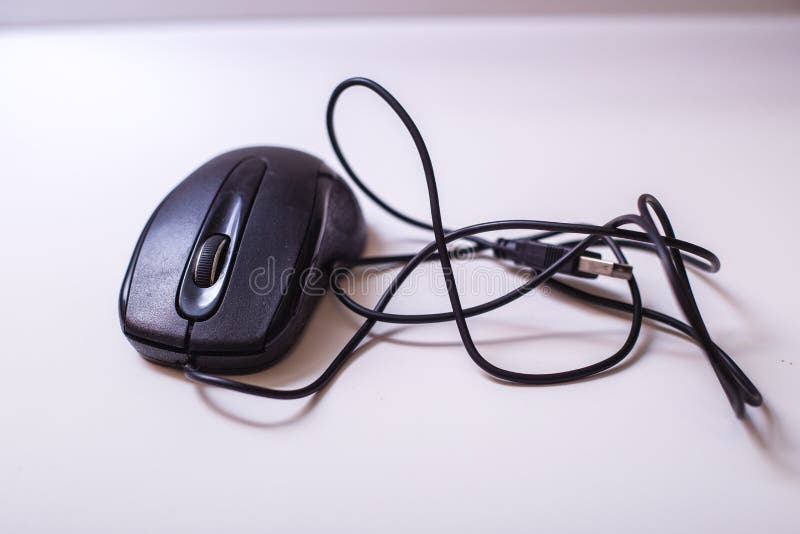 The mouse stock image. Image of equipment, path, clippingpath - 107226423