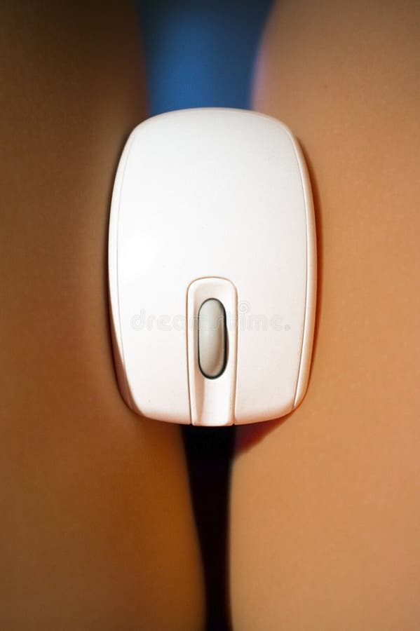 Computer mouse stock photo. Image of wheel, mouse, internet - 38561016