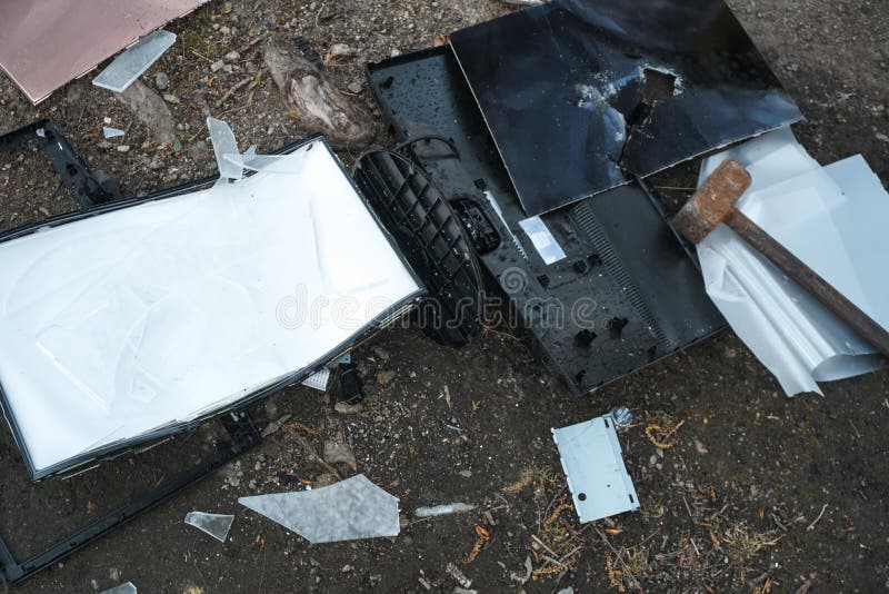 Computer in Nature. the Concept of the Importance of Nature in the ...