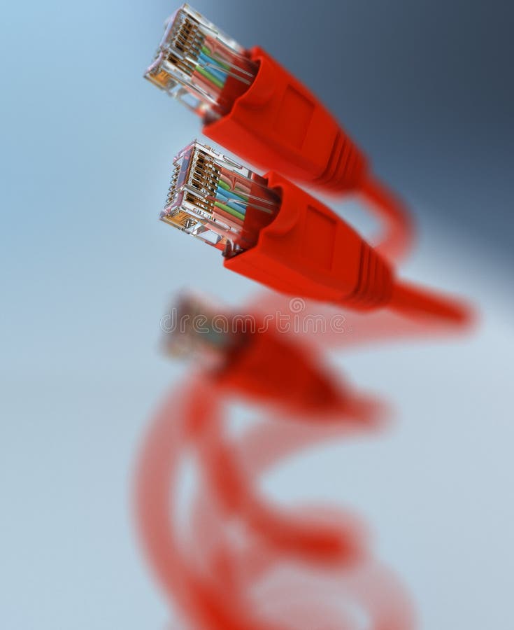 Computer Network Cable stock photo. Image of email, carrier - 12446966