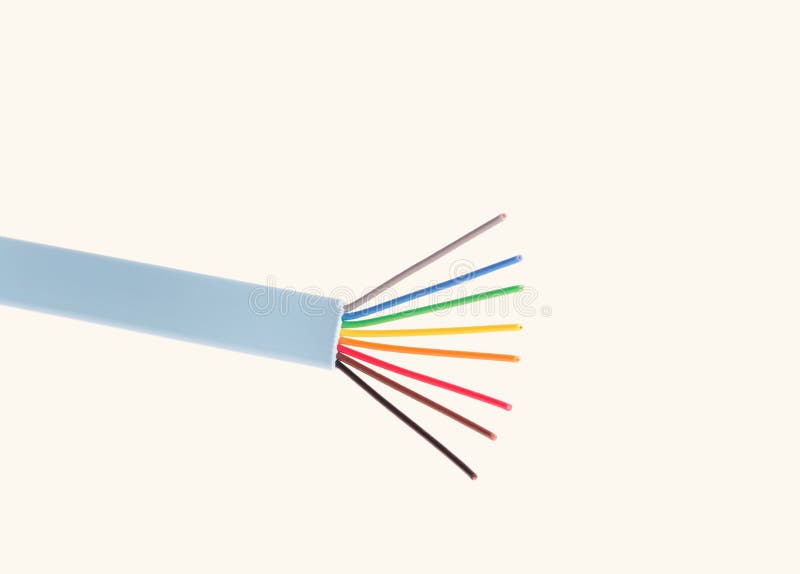 Computer Network Cables in the Hands Isolated on White Background Stock ...