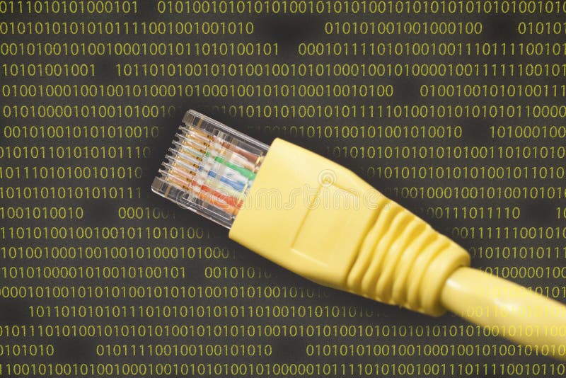 Computer Network Cable (RJ45) Stock Image - Image of cutout, item: 27162851