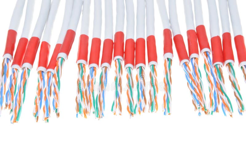 Computer network cables stock photo. Image of electrical - 51110074
