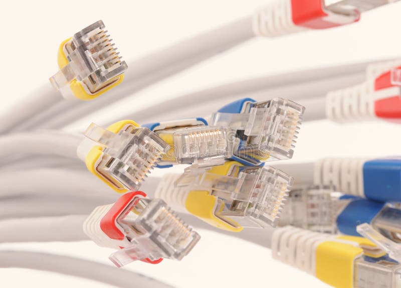 Computer Network Cables in the Hands Stock Photo - Image of plastic ...