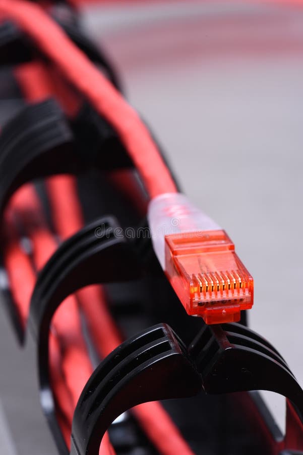 Computer Network Ethernet Cables Stock Image - Image of cord, line ...