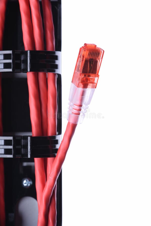Computer Network Ethernet Cables Stock Photo - Image of ethernet, cord ...