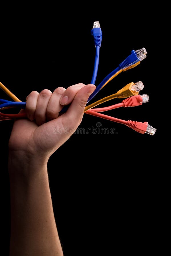 Hand Holding Network Cables Stock Image - Image of isolated, technology ...