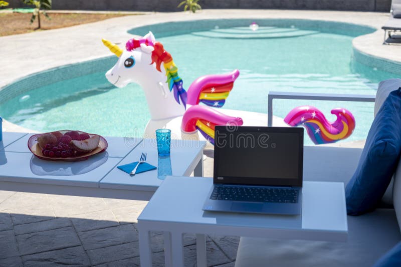 Computer in the Pool, Summer Office, Co Fruit Tray and Unicorn Float ...