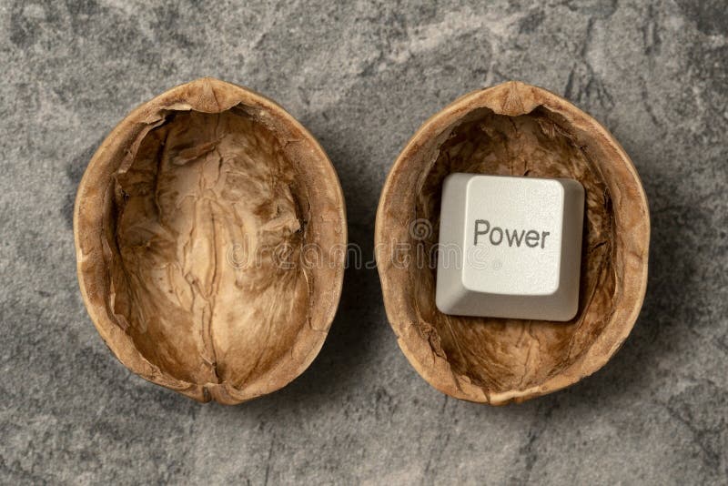 Computer POWER Button Inside Cracked Walnut Shell Stock Photo - Image ...